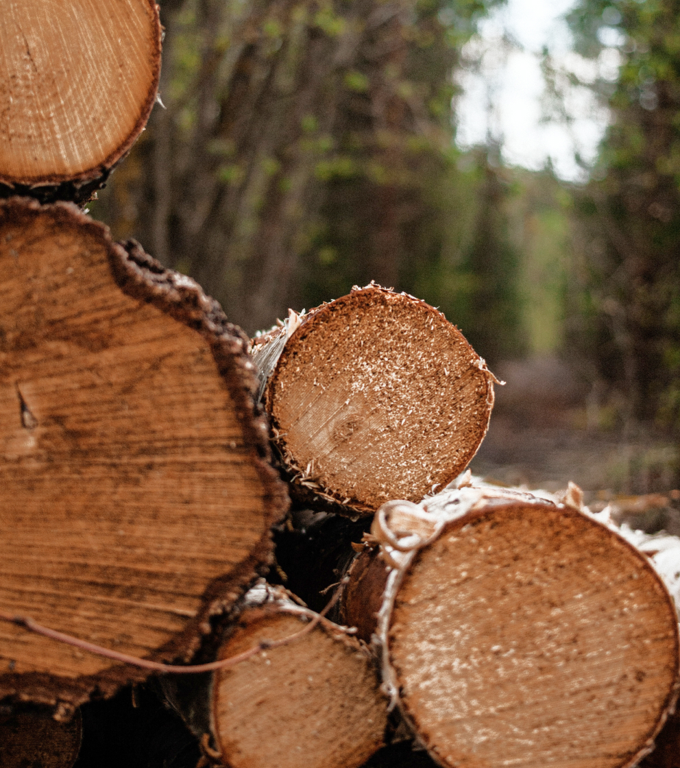 Environment - Baltic Horizon